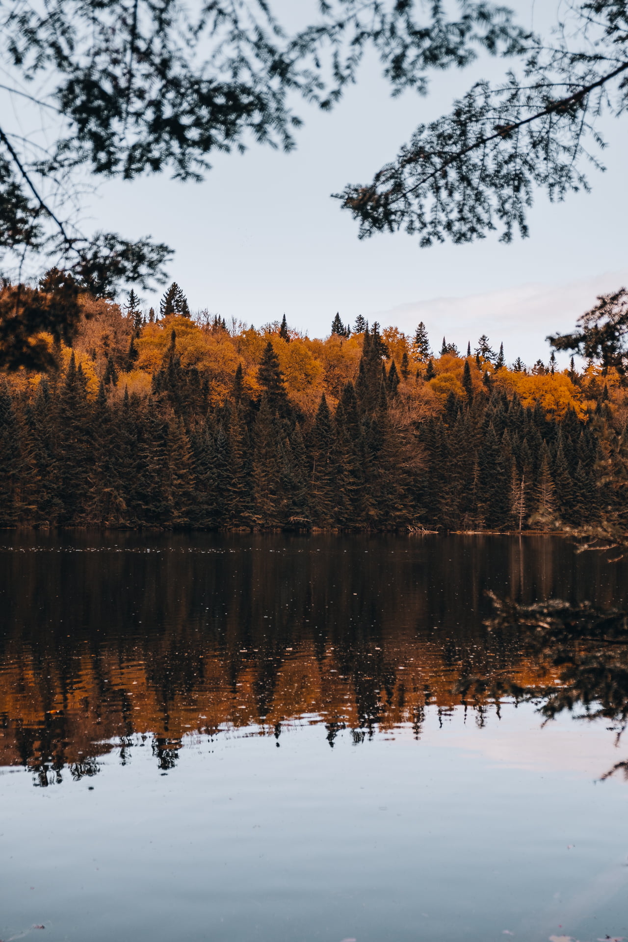 11 spectacular hikes to do in Quebec this fall | The Storytellers MTL